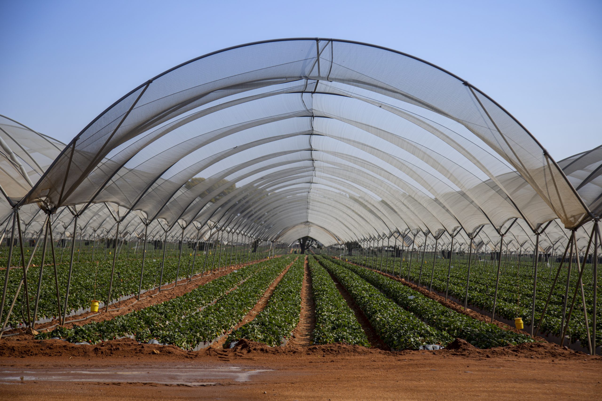 Advantages of using agricultural net - PlusNet