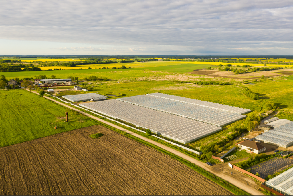 PlusNet: Cultivating a greener and more prosperous agricultural ...