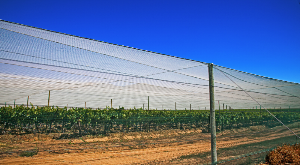 A guide to choosing the right shade net for your needs - PlusNet