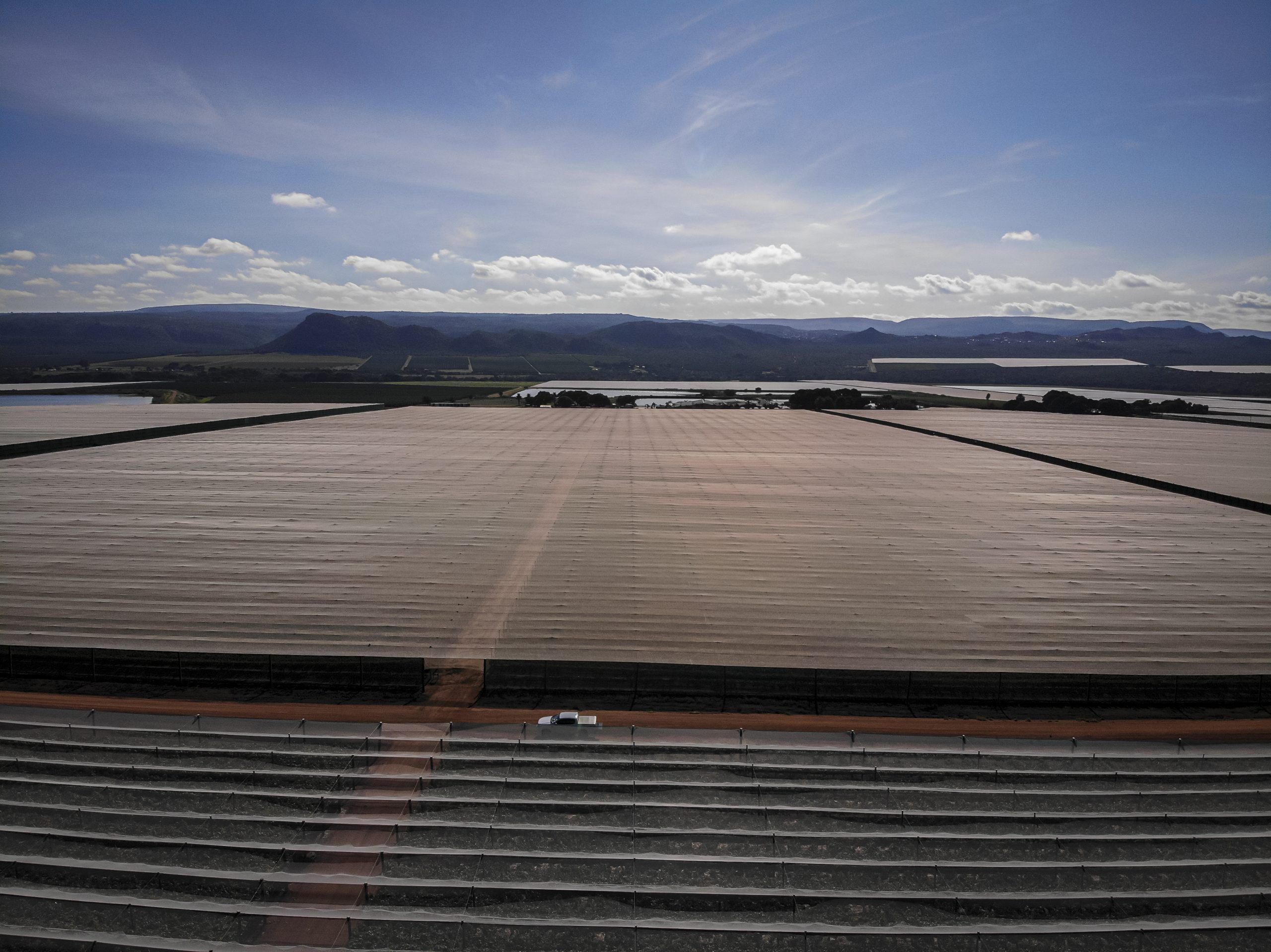 Protect your crops with PlusNet’s durable agricultural nets – Designed ...